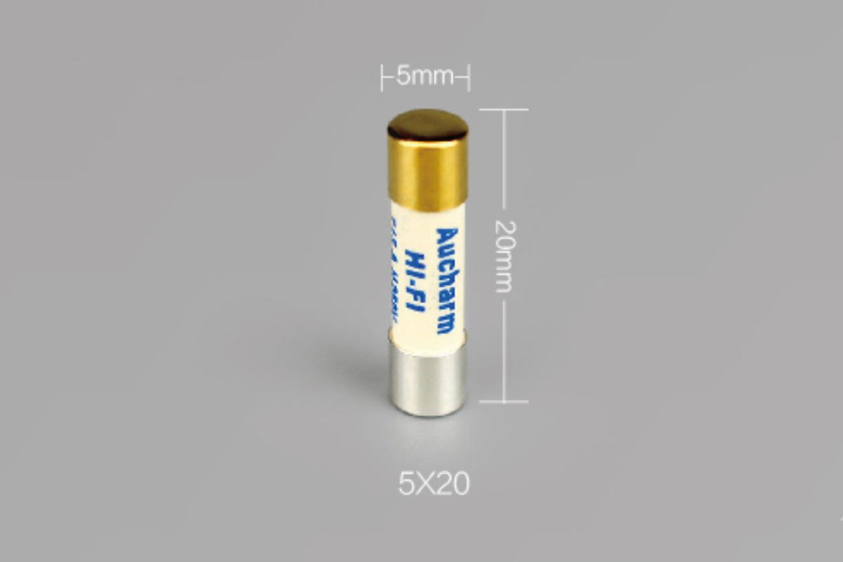 Aucharm Audio 5mm x 20mm Pure Silver Gold plated cap Slow blow fuse (E ...